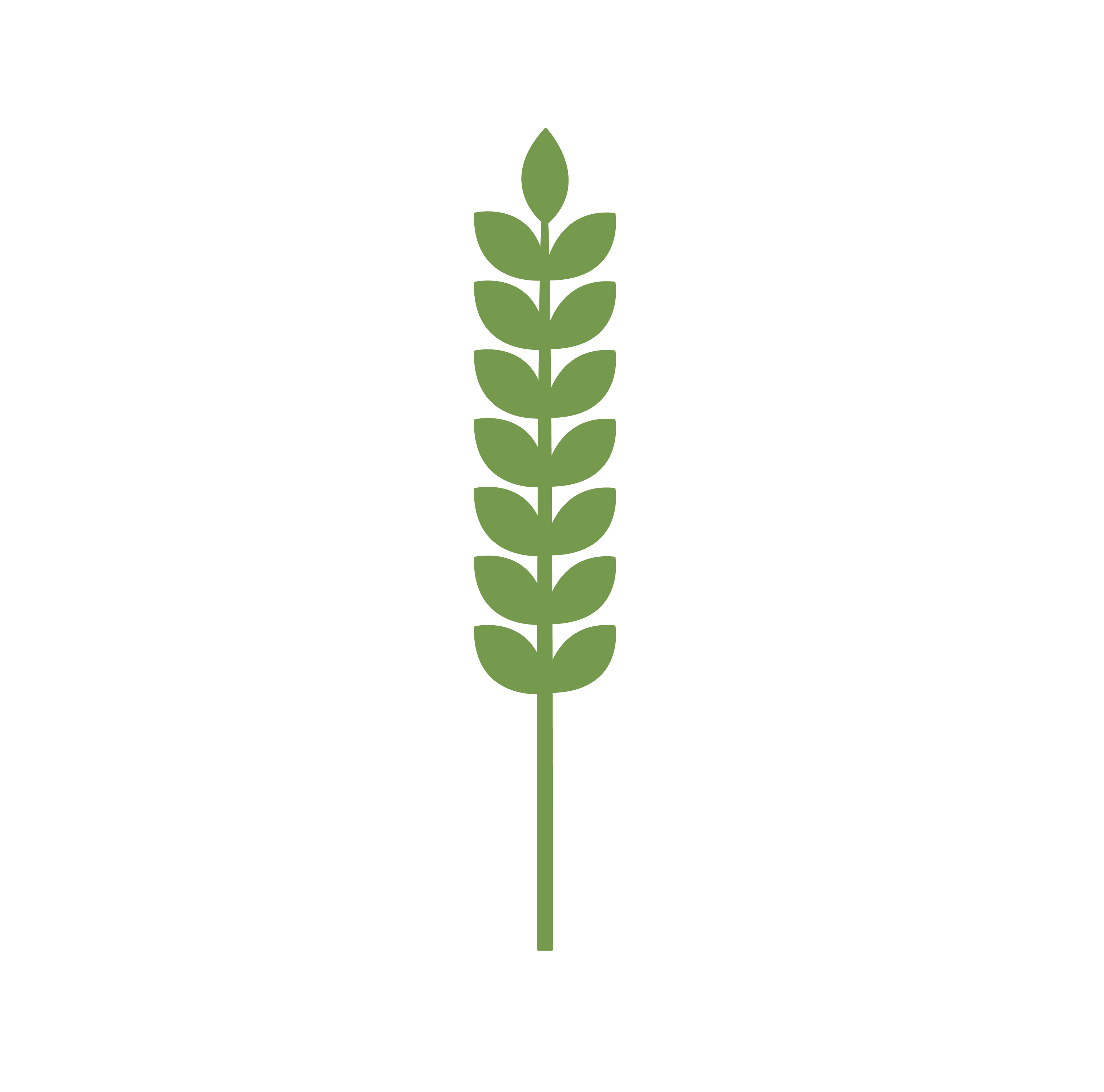Premium Oat Hay Pellets – Mountain Sunrise Feed